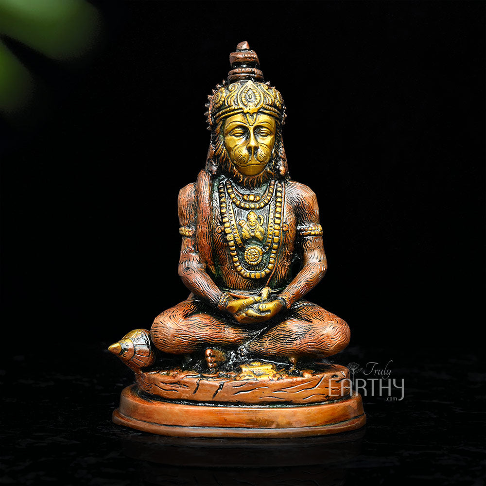 Lord Hanuman as Yogachara in Brass (18.7 cm) – Truly Earthy