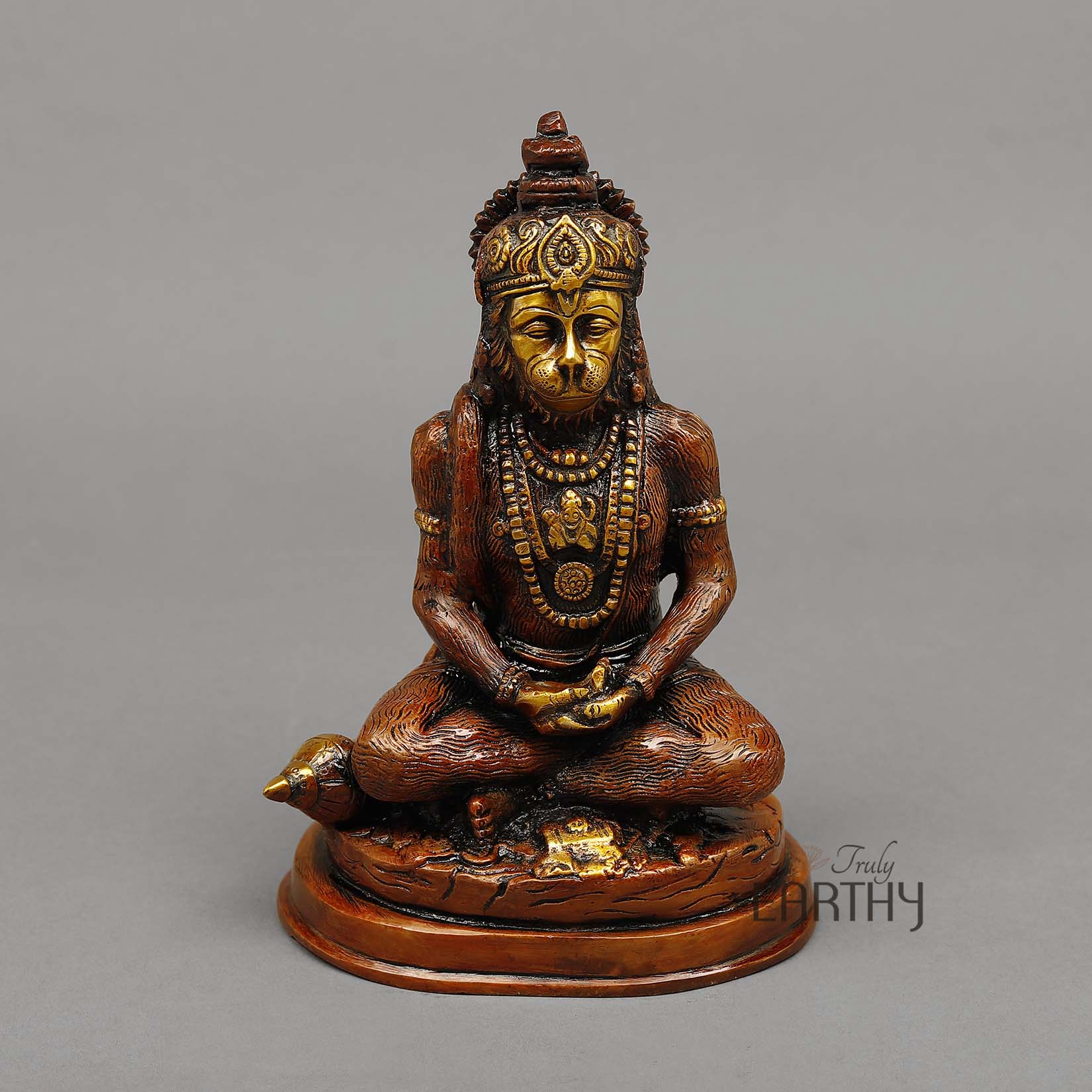 Lord Hanuman as Yogachara in Brass (18.7 cm) – Truly Earthy